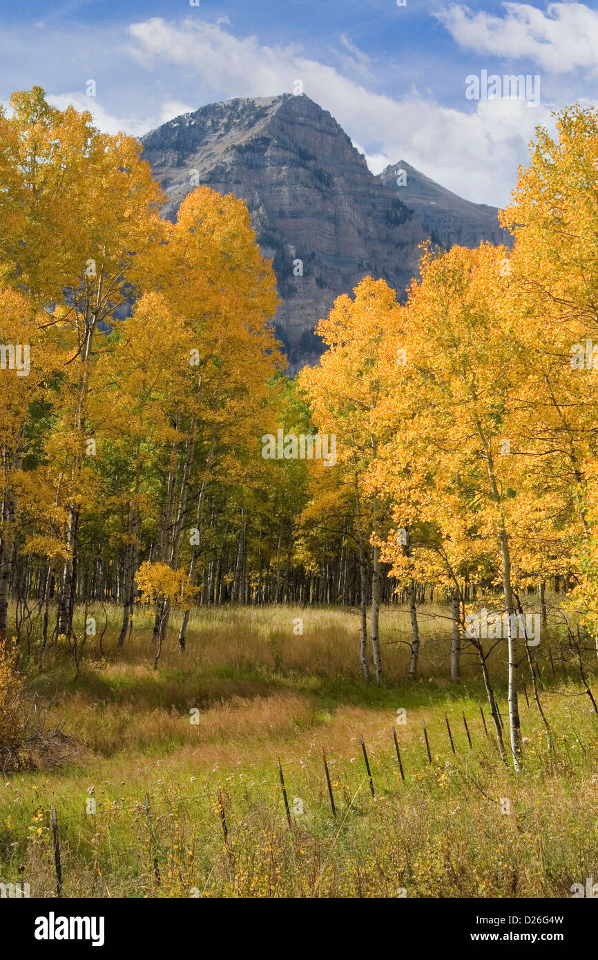 Mt timpanogos and utah lake hi-res stock photography and images - Alamy