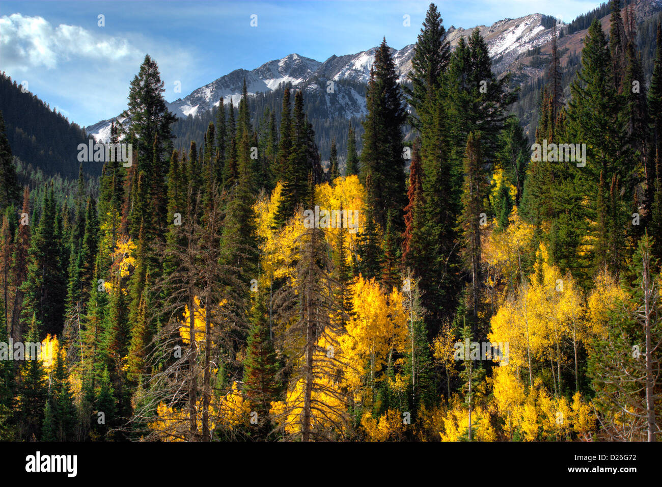 Autumn Colors Wasatch Mts USA Stock Photo - Alamy