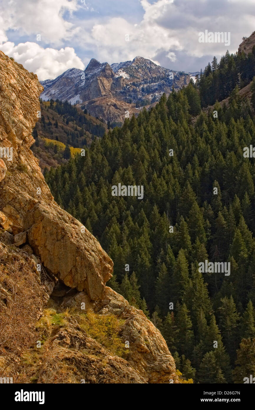 Autumn Colors Wasatch Mts USA Stock Photo - Alamy