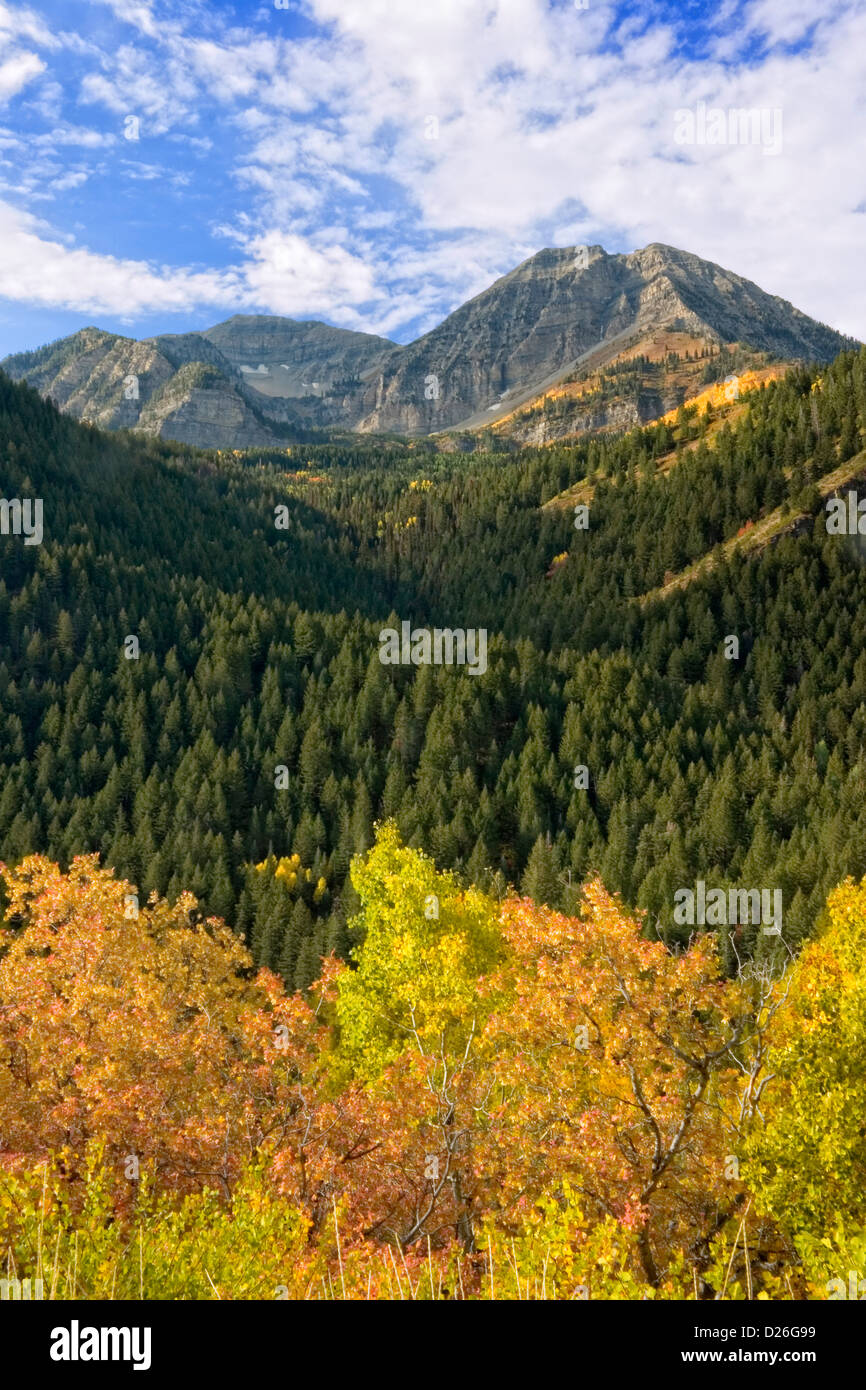 Mount Timpanogos Wasatch Mts Utah Stock Photo - Alamy