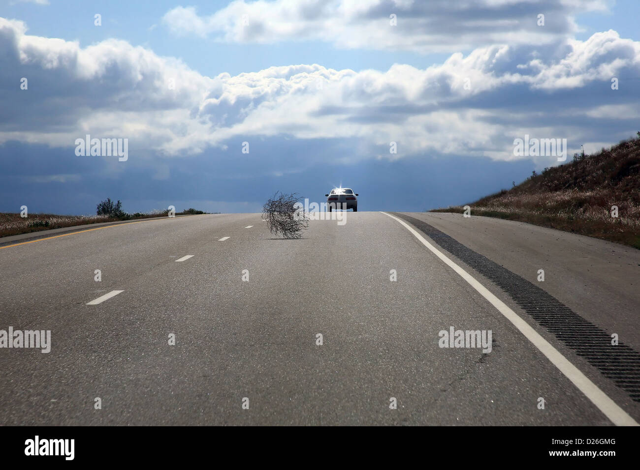 Tumble weed hi-res stock photography and images - Alamy