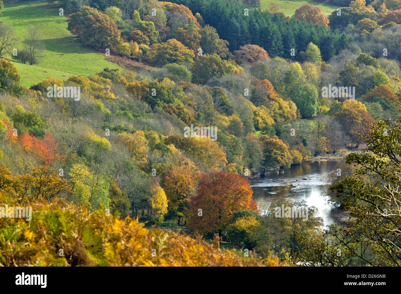 THE RIVER WYE NEAR ERWOOD IN AUTUMN WITH CHANGING COLOURS IN THE LEAVES ...