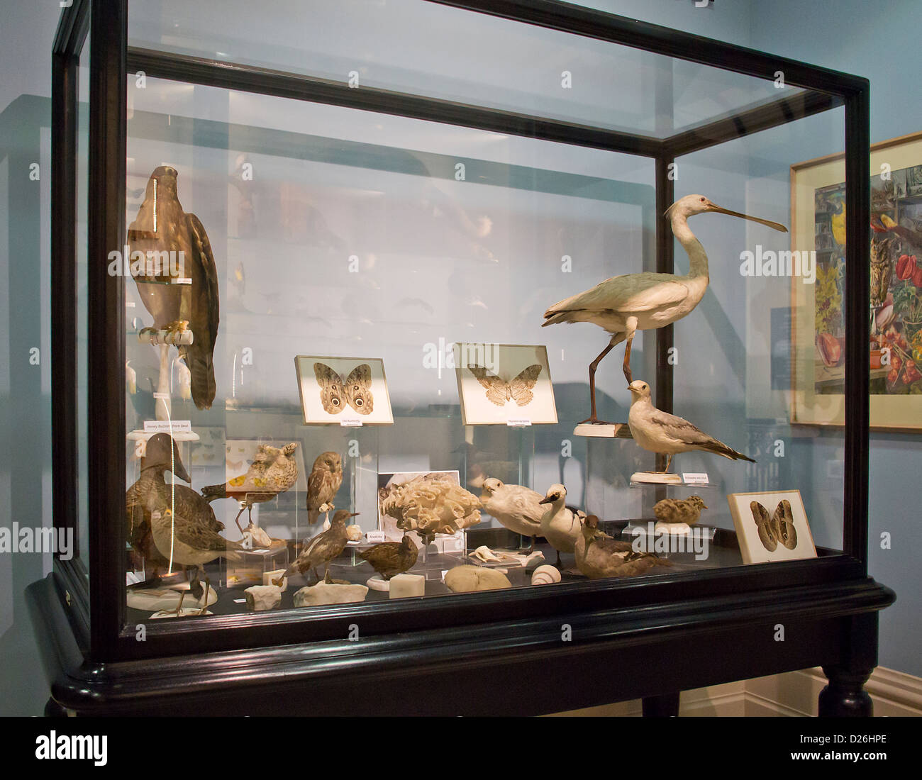 House Of Knowledge High Resolution Stock Photography and Images - Alamy