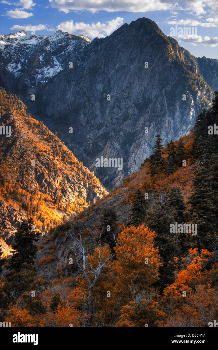 Maple trees in wasatch mountains hi-res stock photography and images ...