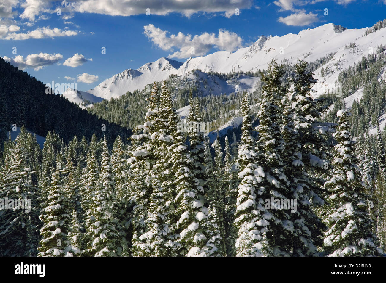 Peaks of the wasatch range mountains hi-res stock photography and ...
