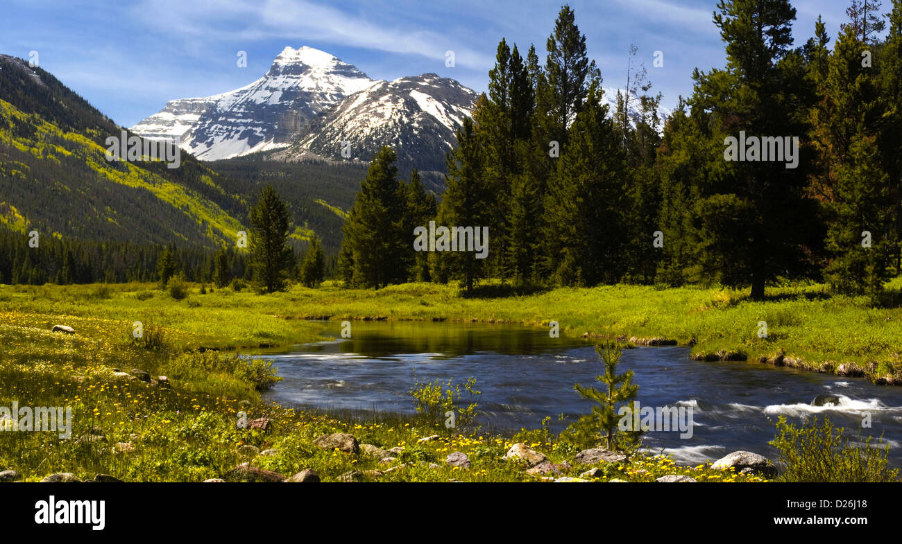 Uinta Mountains Utah Stock Photo - Alamy