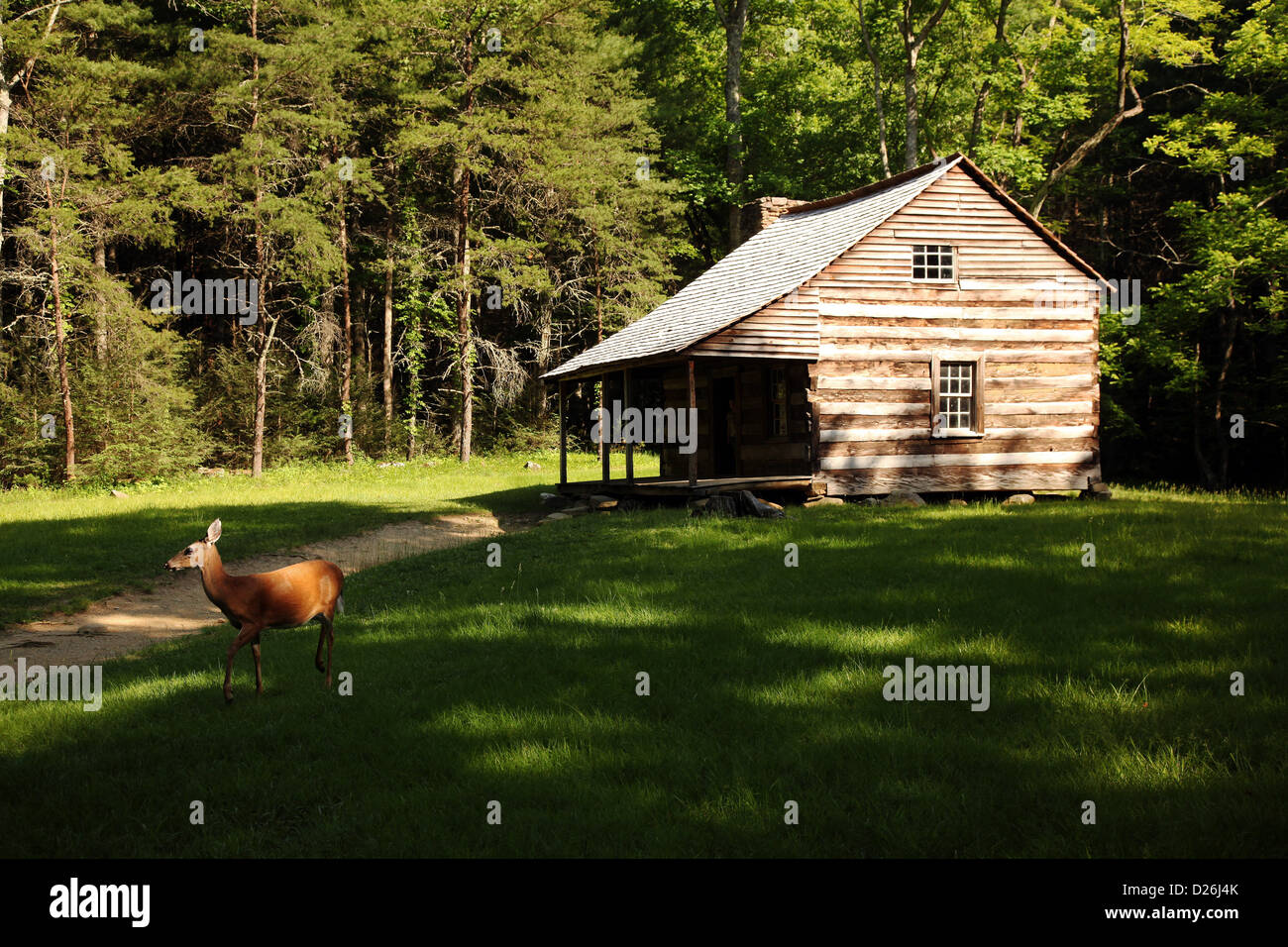Deer park cabin hi-res stock photography and images - Alamy