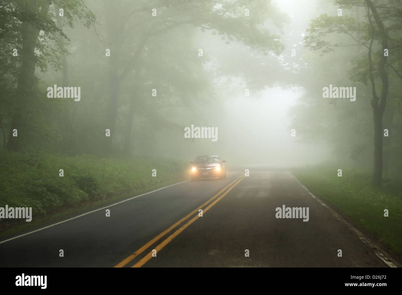 Driving through thick fog Stock Photo - Alamy