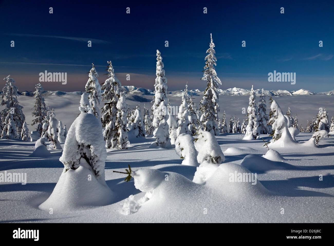 Amabilis mountain hi-res stock photography and images - Alamy