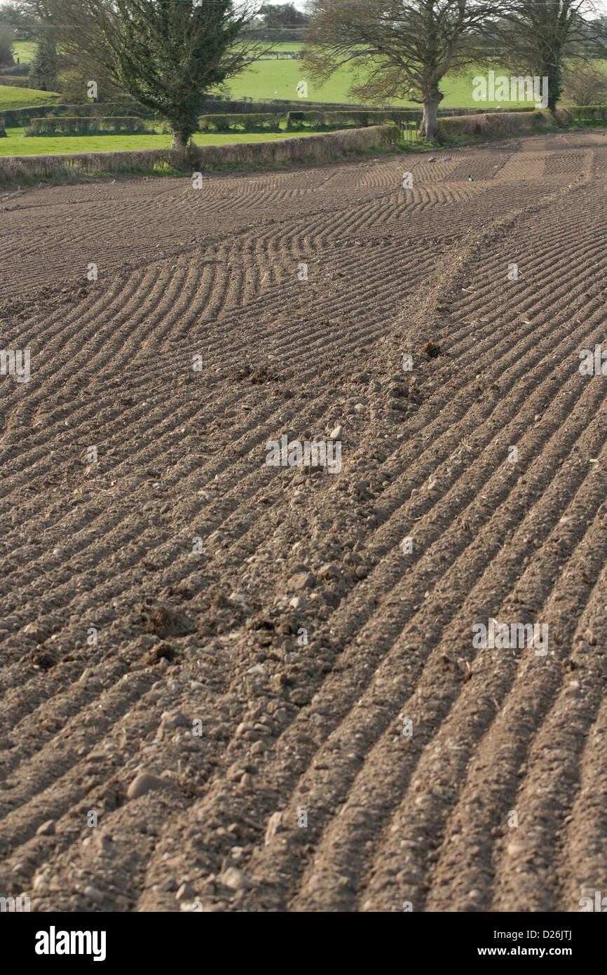 Ploughed field ready for crop planting Stock Photo - Alamy