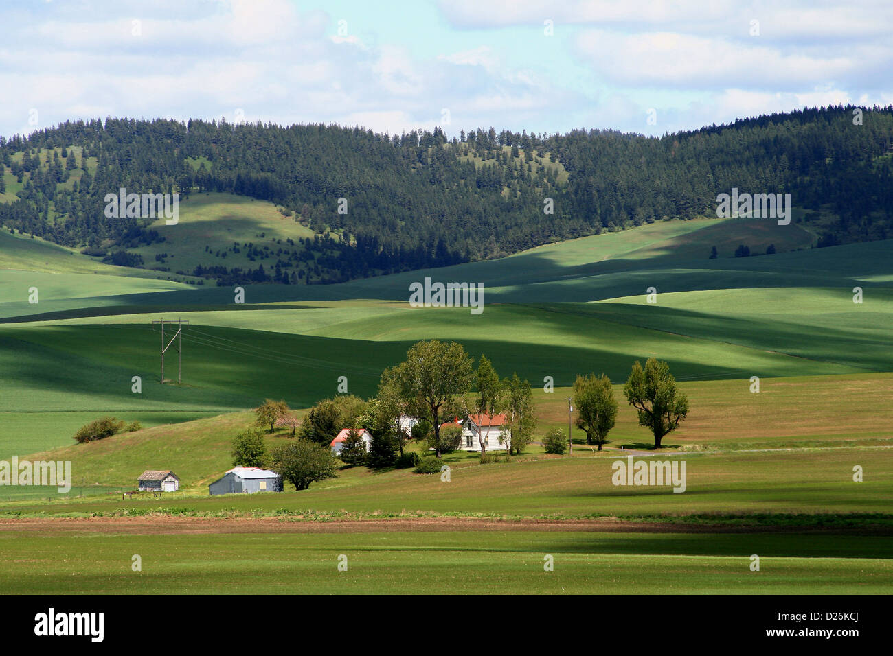 Northern Idaho farm in spring Stock Photo - Alamy