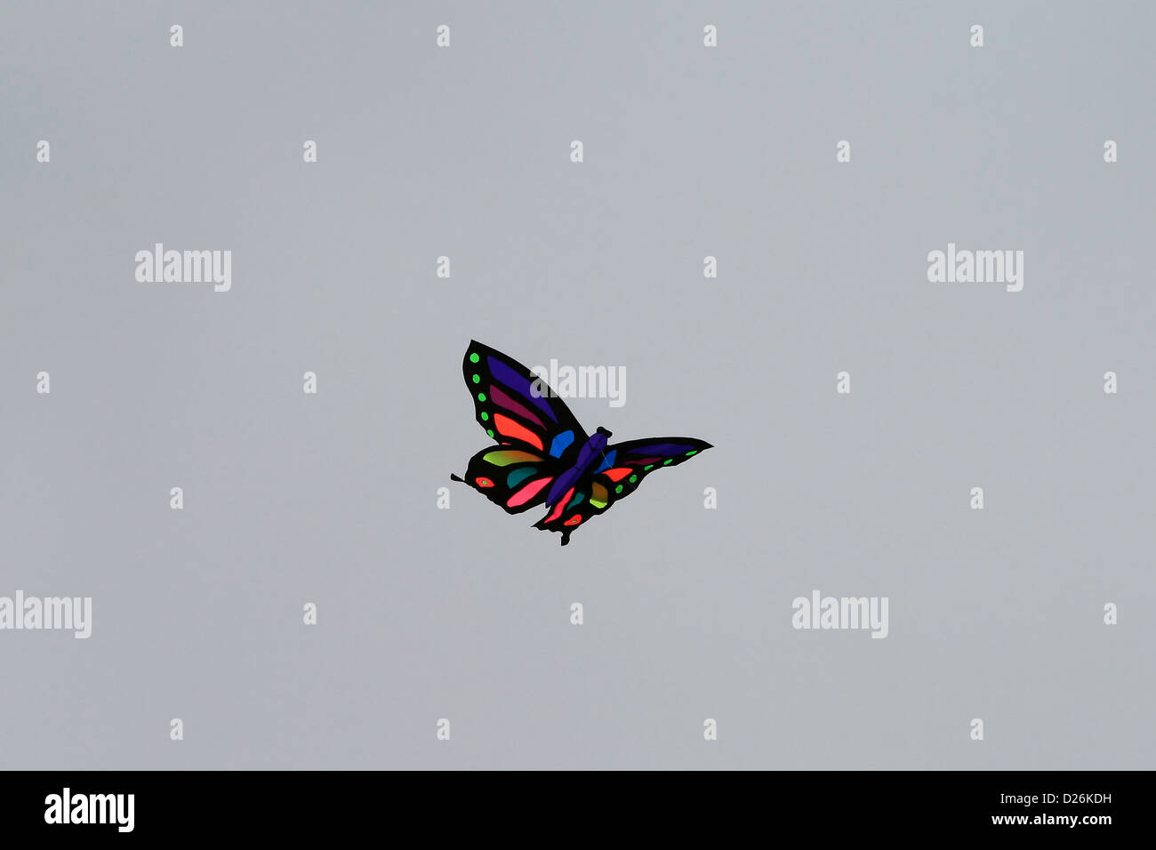Colored butterfly hi-res stock photography and images - Alamy