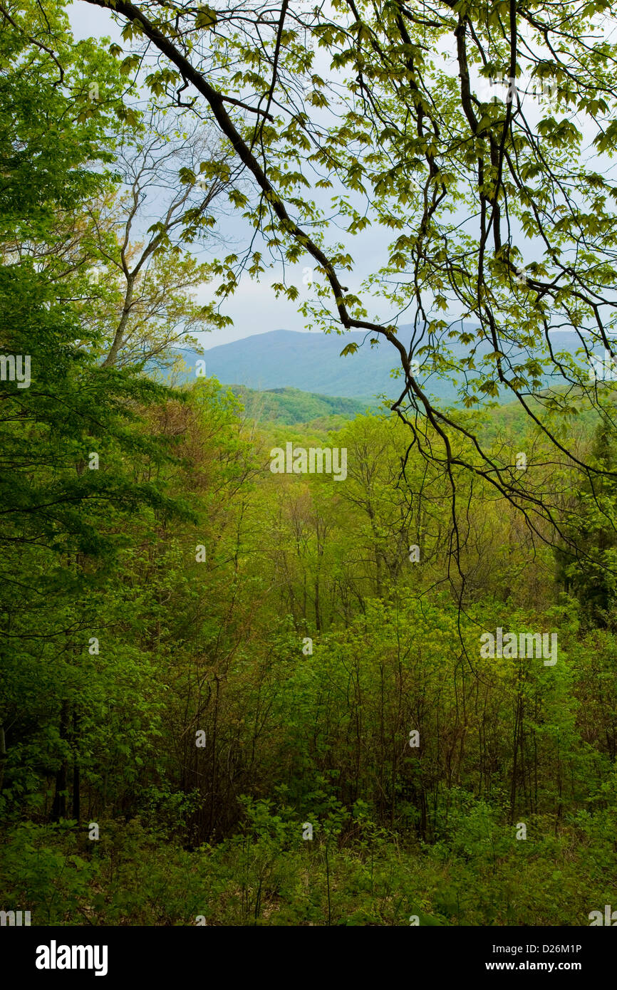 Spring, Motor Nature Trail Stock Photo - Alamy