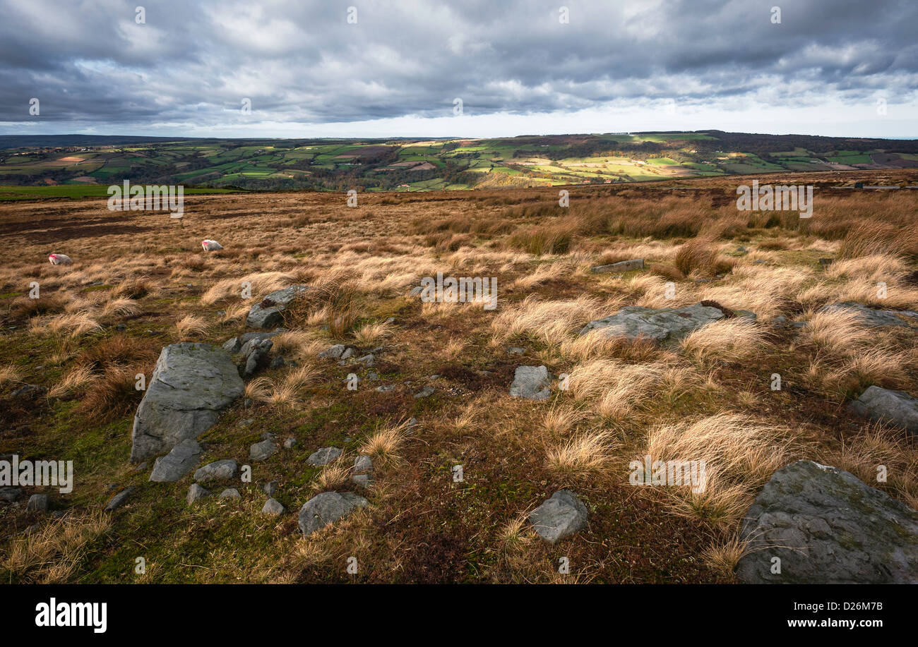 View of the rugged, undulating landscape of the North York Moors ...