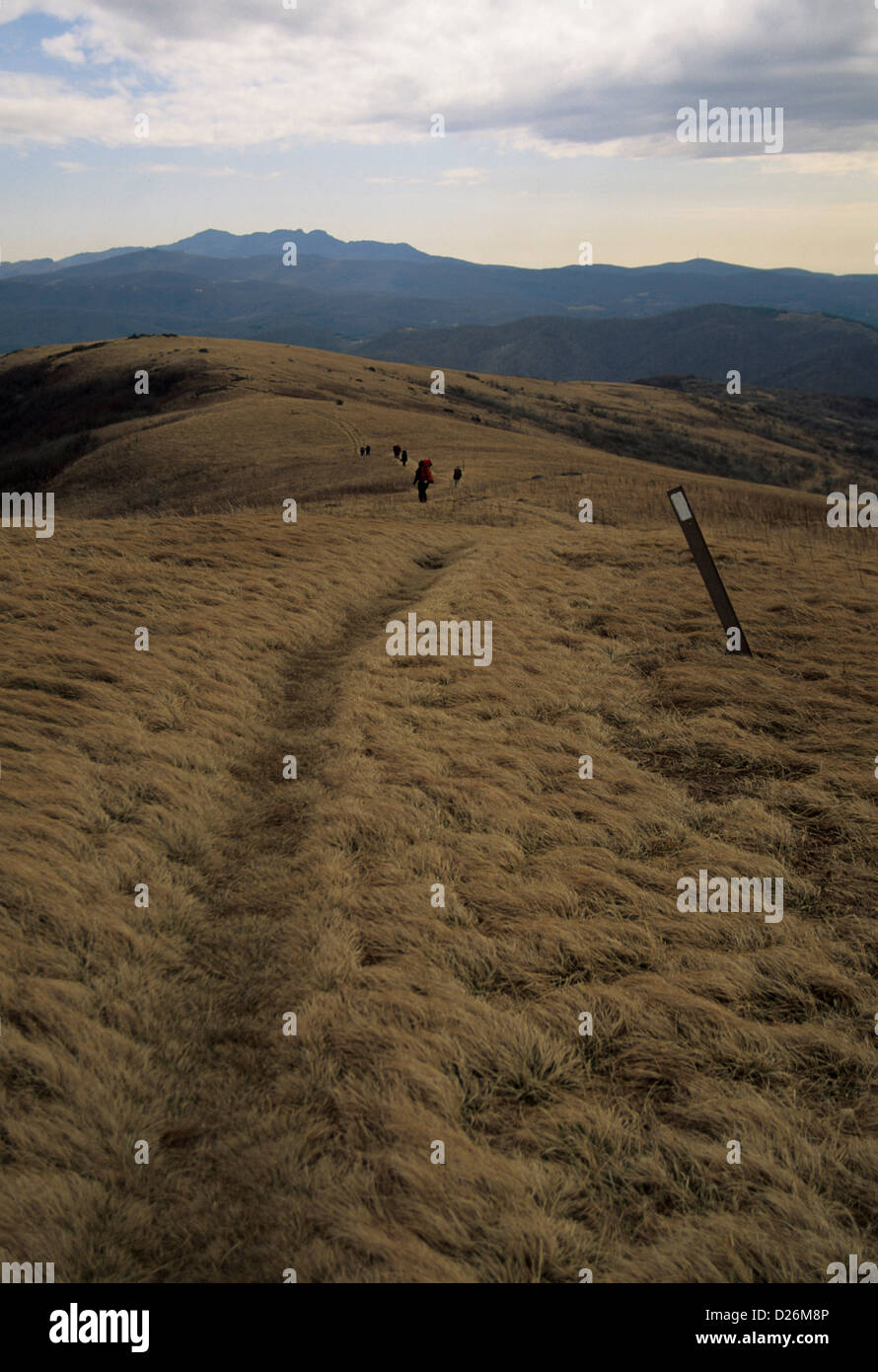 Humps hi-res stock photography and images - Alamy