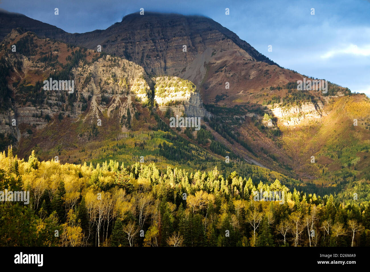 Mount Timpanogos in Autumn Stock Photo - Alamy