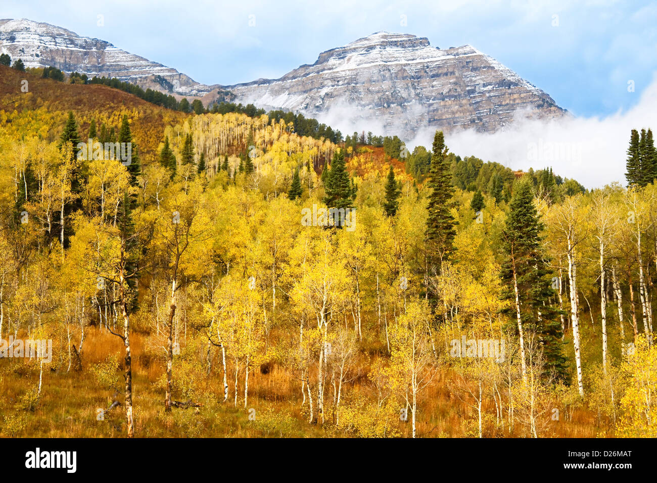 Fall color mount timpanogos hi-res stock photography and images - Alamy