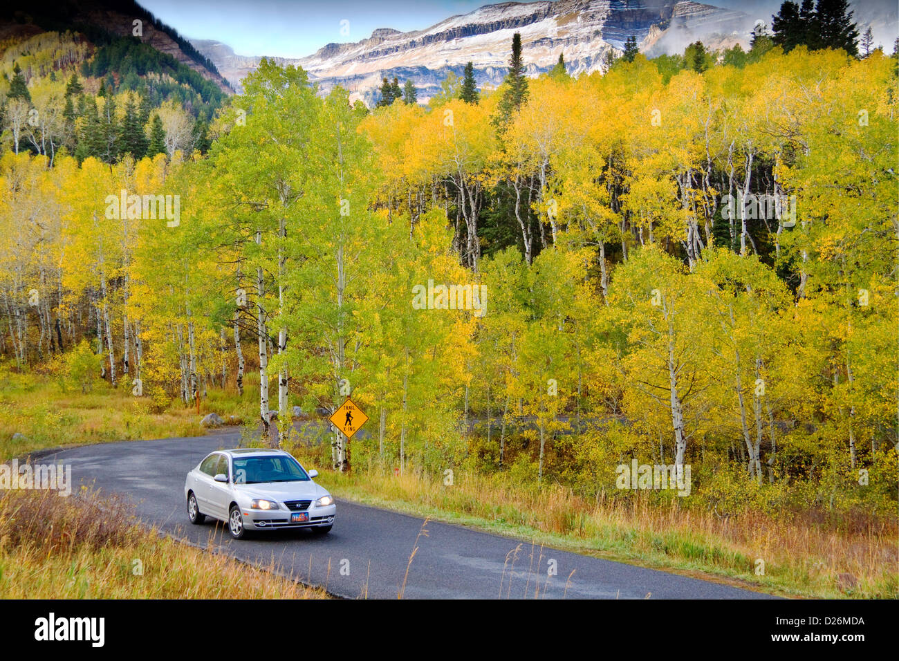 Car on Scenic Road Stock Photo - Alamy