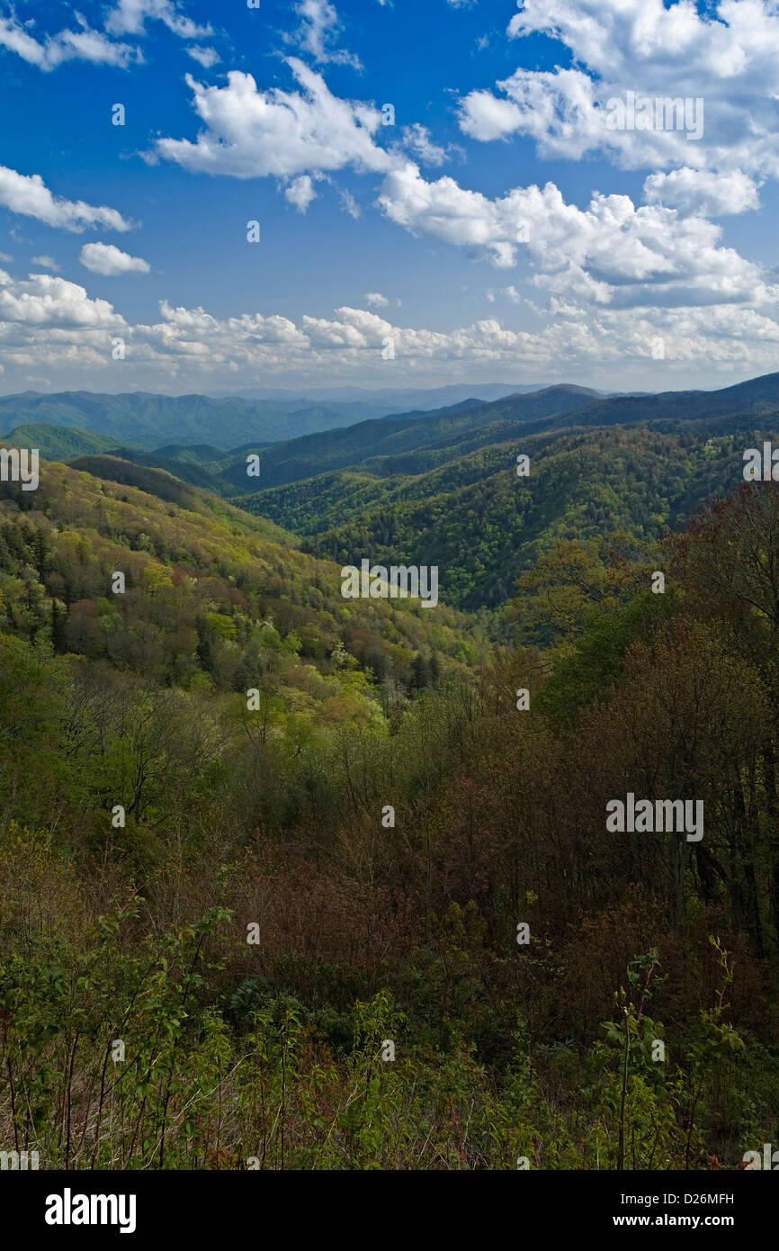 Newfound gap spring hi-res stock photography and images - Alamy