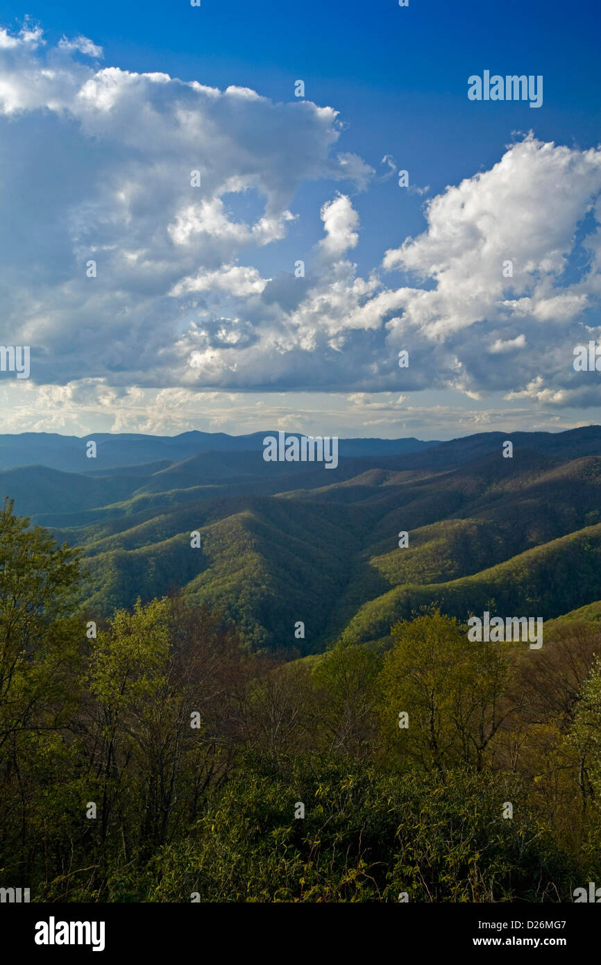 Early seasons hi-res stock photography and images - Alamy