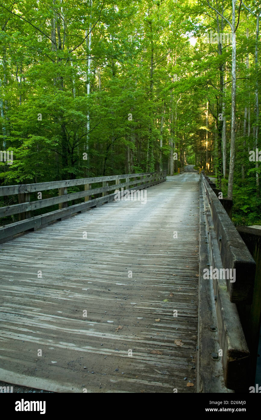 Bridge, Little Pigeon River Stock Photo - Alamy