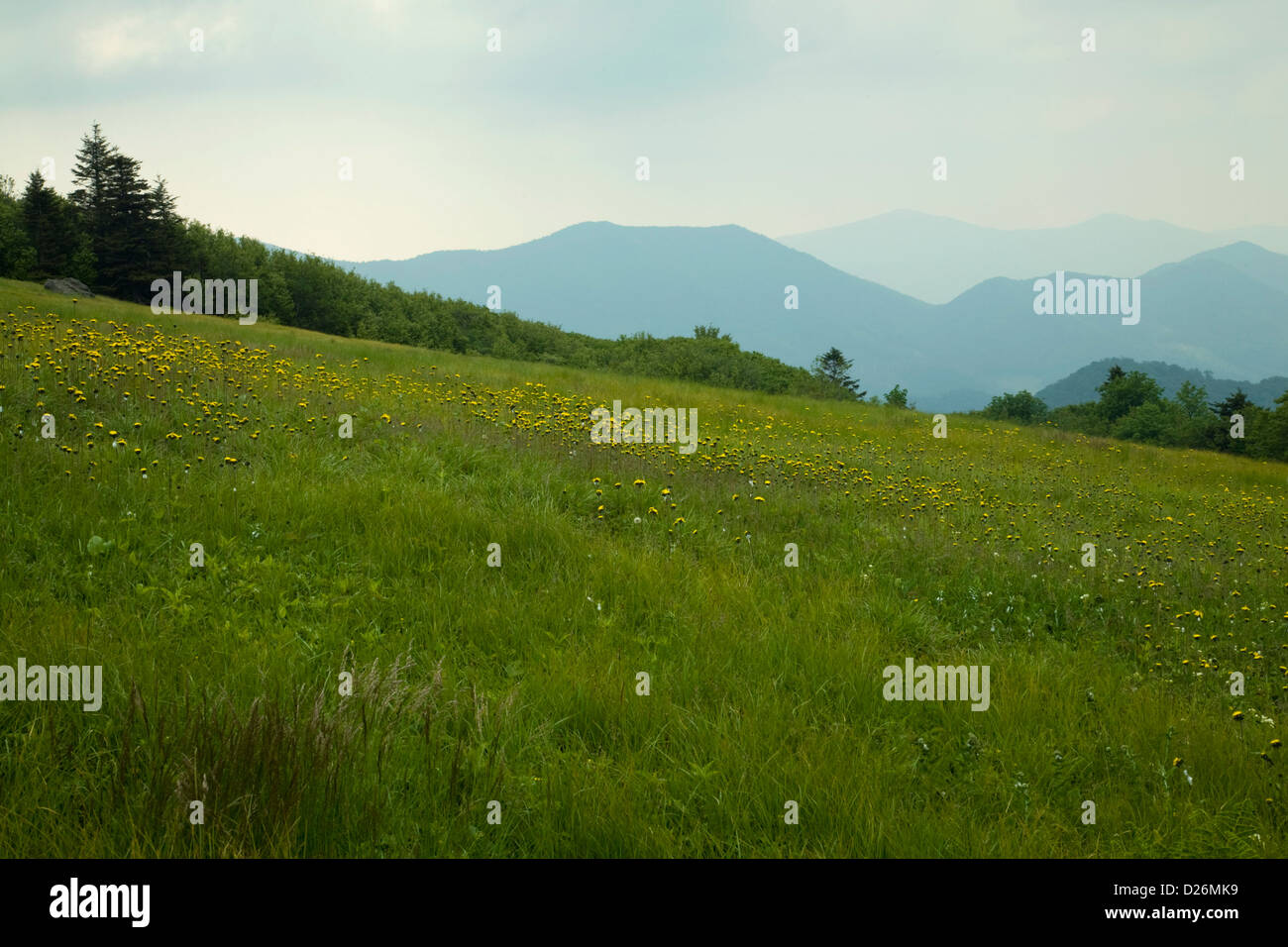 Carvers gap hi-res stock photography and images - Alamy