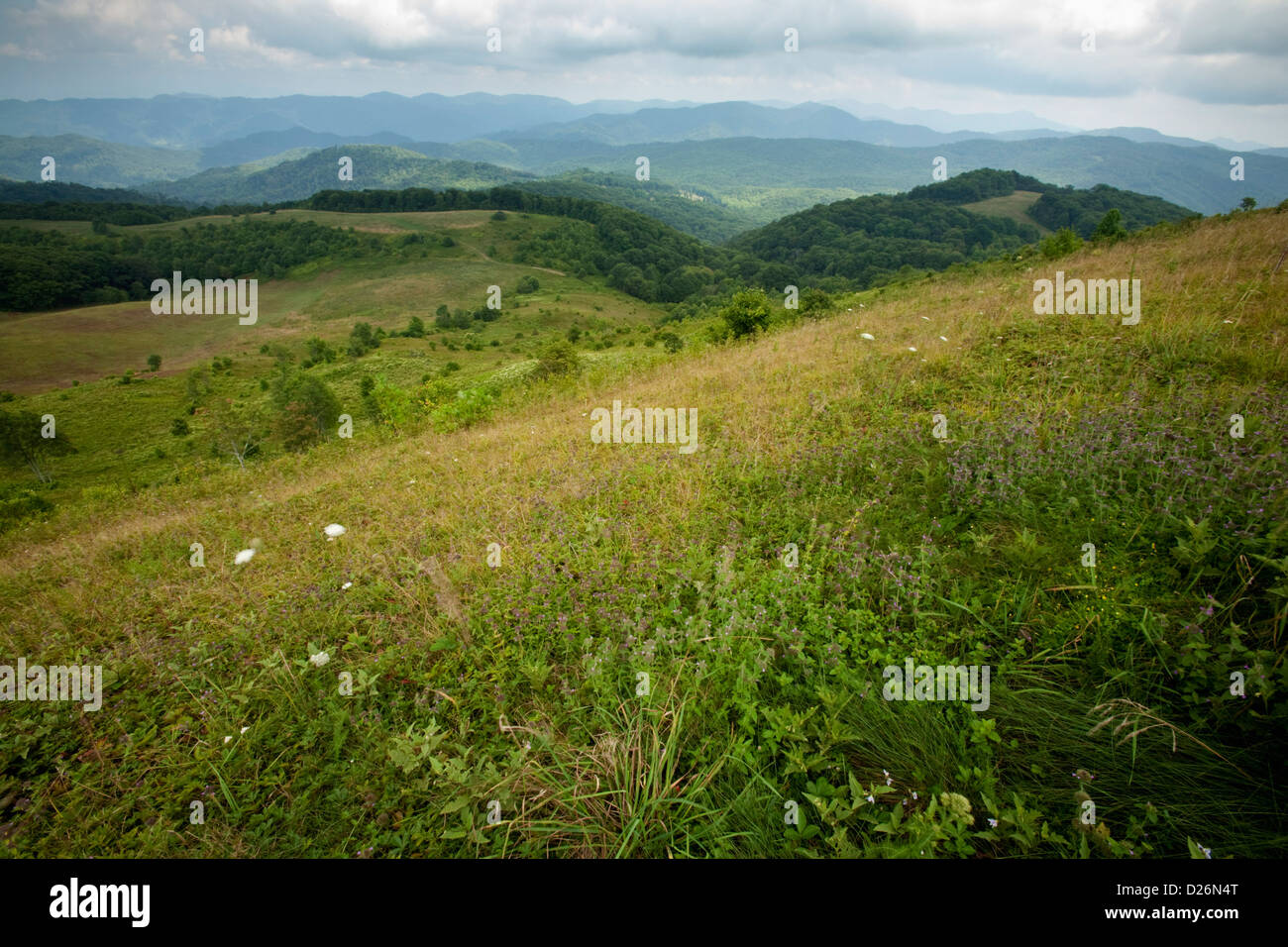Max Patch, Appalachian Trail Stock Photo - Alamy
