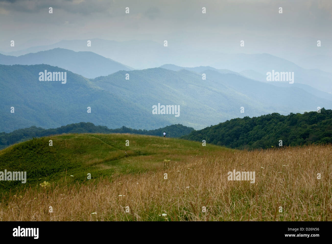 Max Patch, Appalachian Trail Stock Photo - Alamy