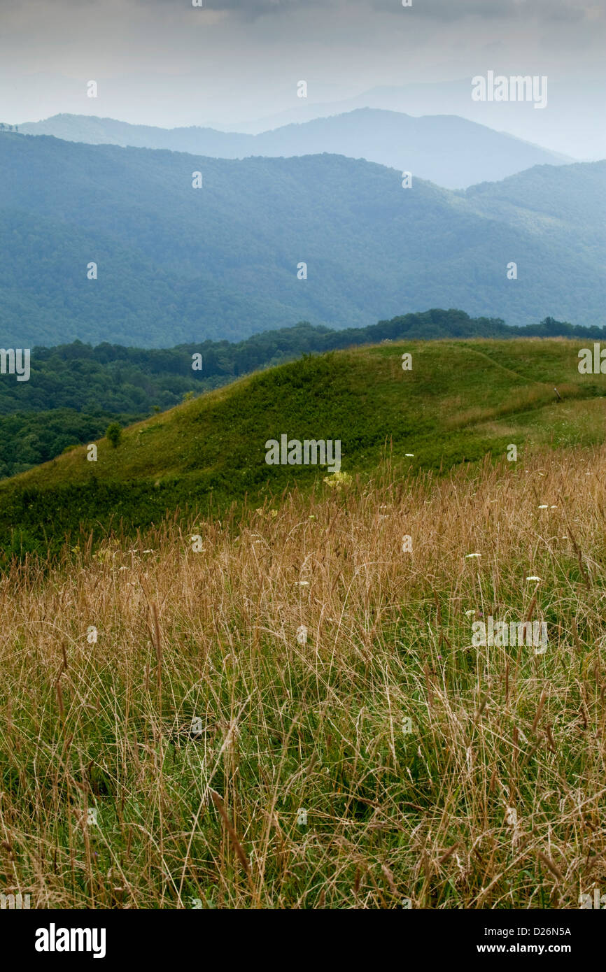 Max Patch, Appalachian Trail Stock Photo - Alamy