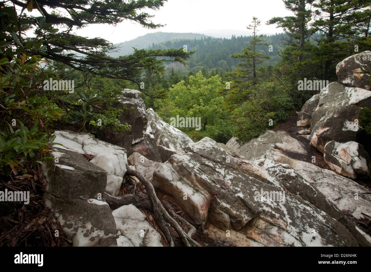 Shining rock wilderness carolina hi-res stock photography and images ...