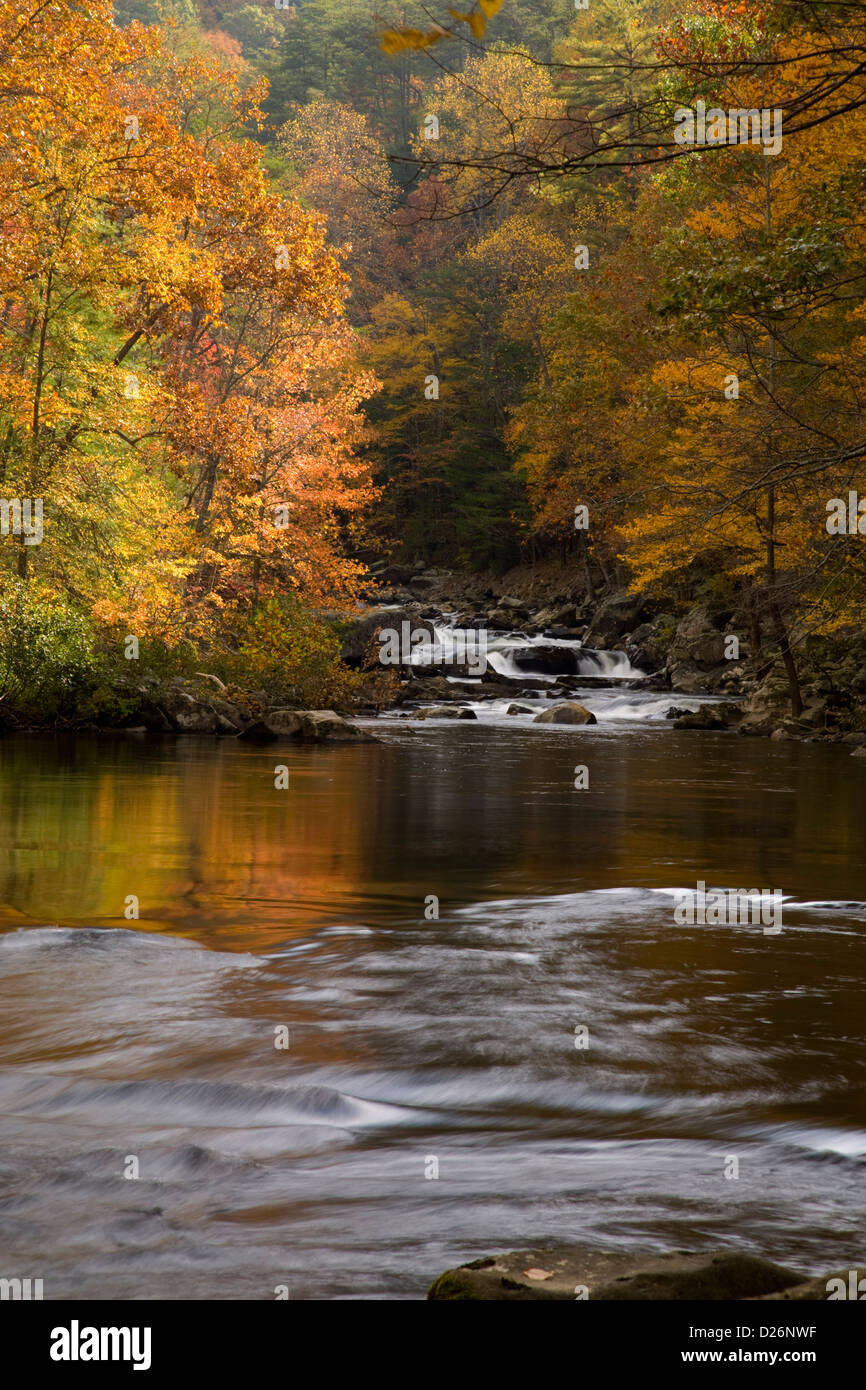Autumn, Tellico River, Cherokee NF Stock Photo - Alamy