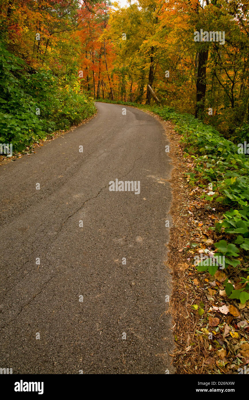 Kudzu landscape hi-res stock photography and images - Alamy