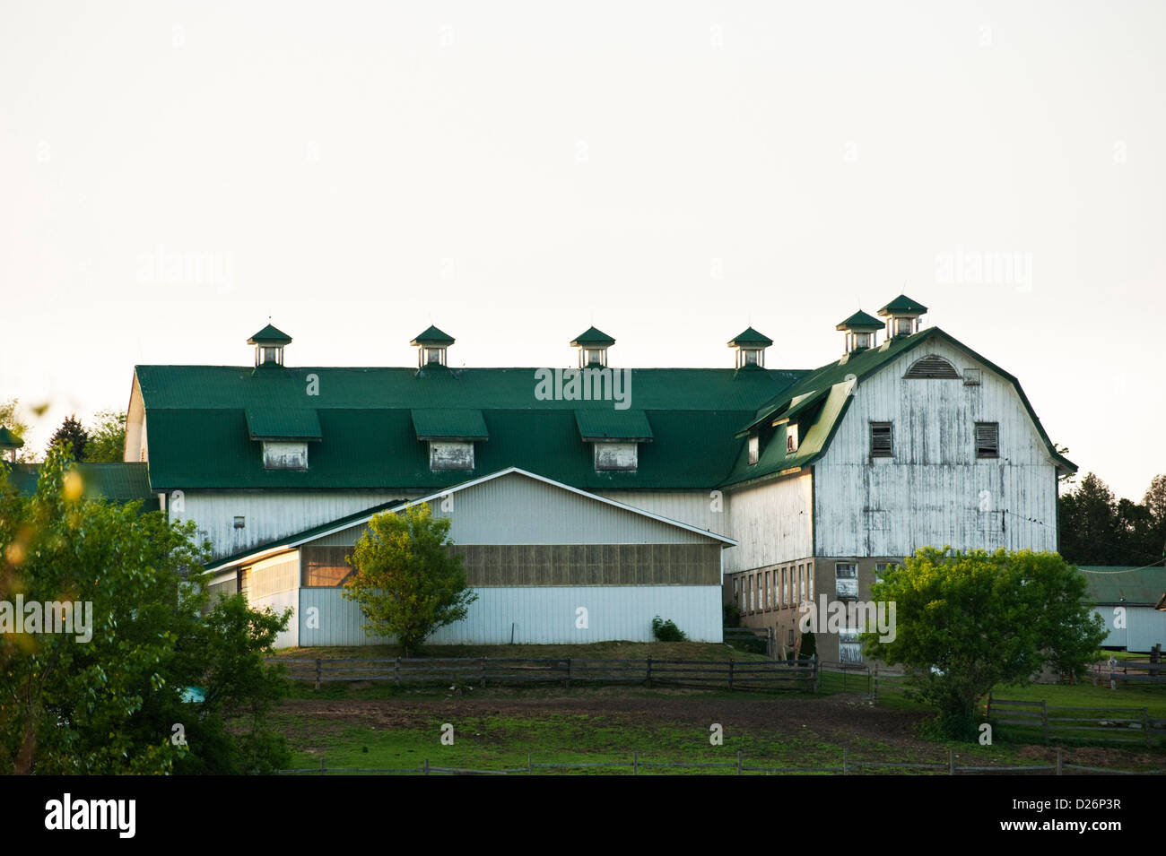 A traditional green-roofed white painted barn in a prosperous farming ...