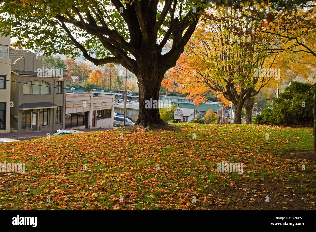 Waynesville nc hi-res stock photography and images - Alamy