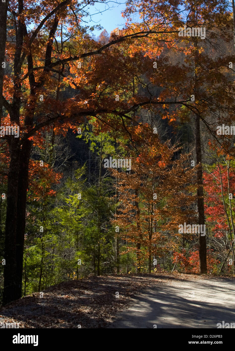 Cosby hi-res stock photography and images - Alamy
