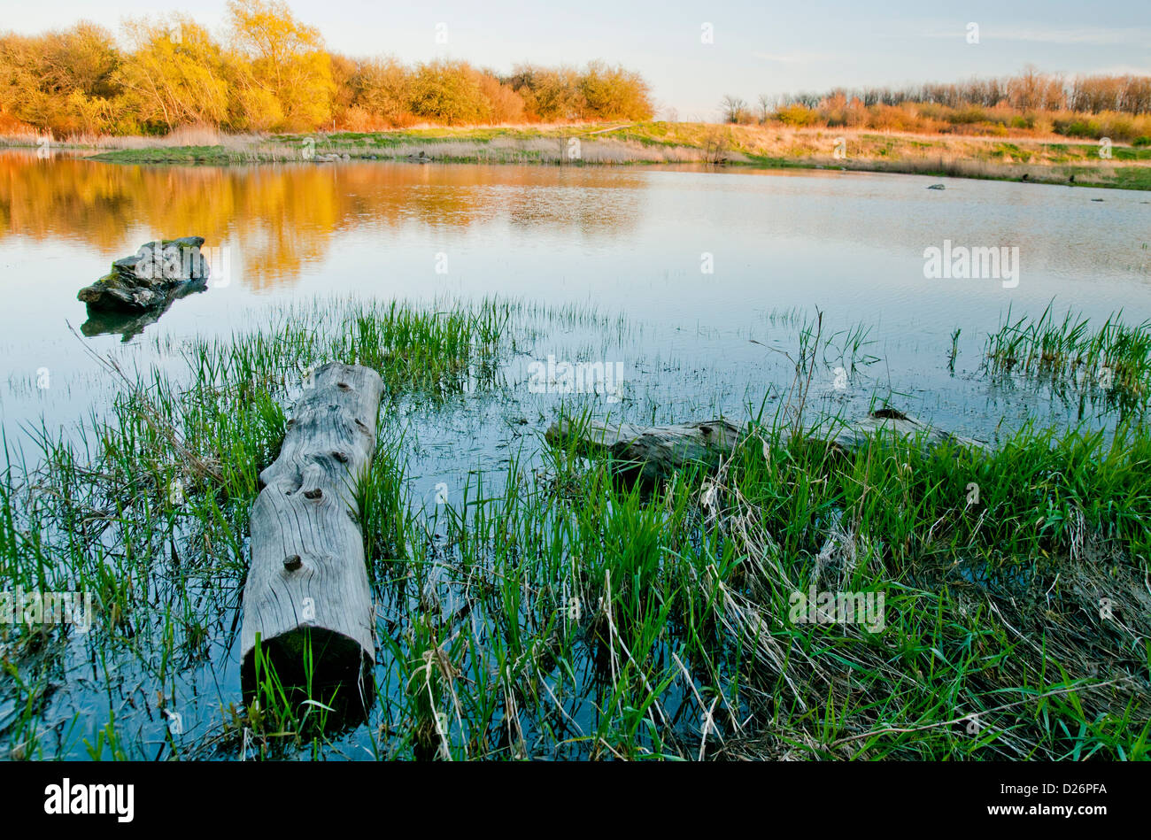 Pond reflecting fall colors hi-res stock photography and images - Alamy
