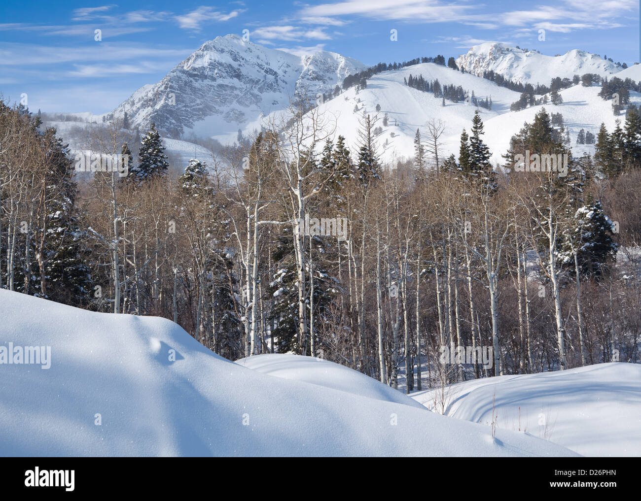 Winter Wasatch Mountains of Utah Stock Photo - Alamy
