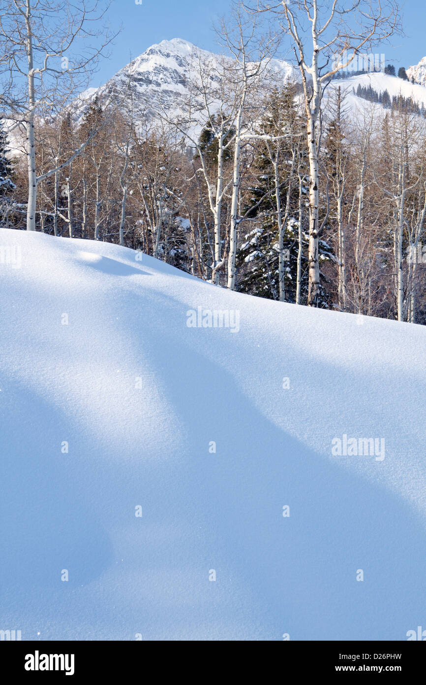 Winter Wasatch Mountains of Utah Stock Photo - Alamy