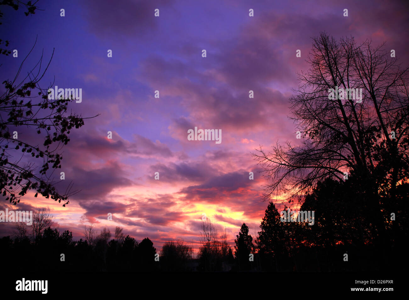 Brilliant sun hi-res stock photography and images - Alamy