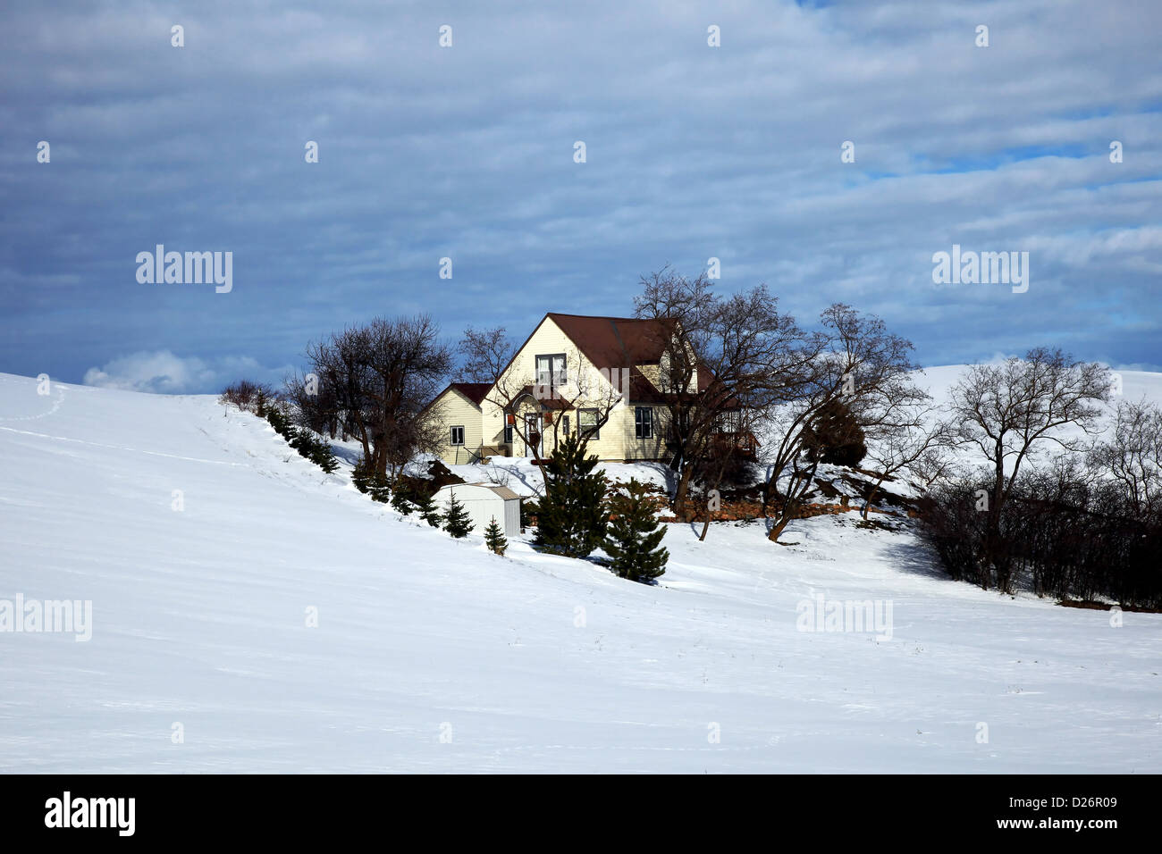 Palouse hills farmhouse in winter Stock Photo - Alamy