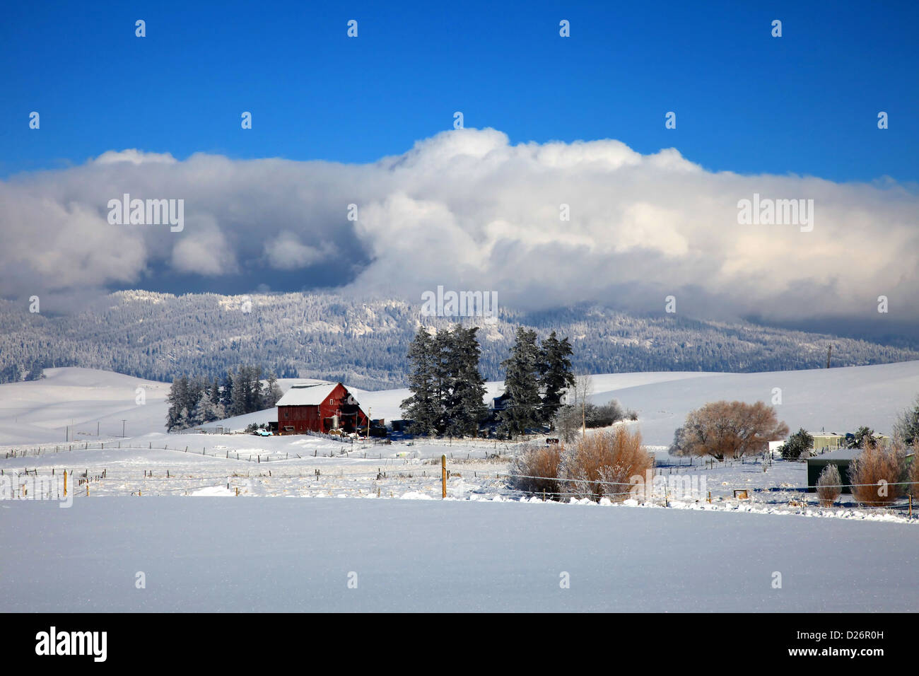 Palouse winter hi-res stock photography and images - Alamy