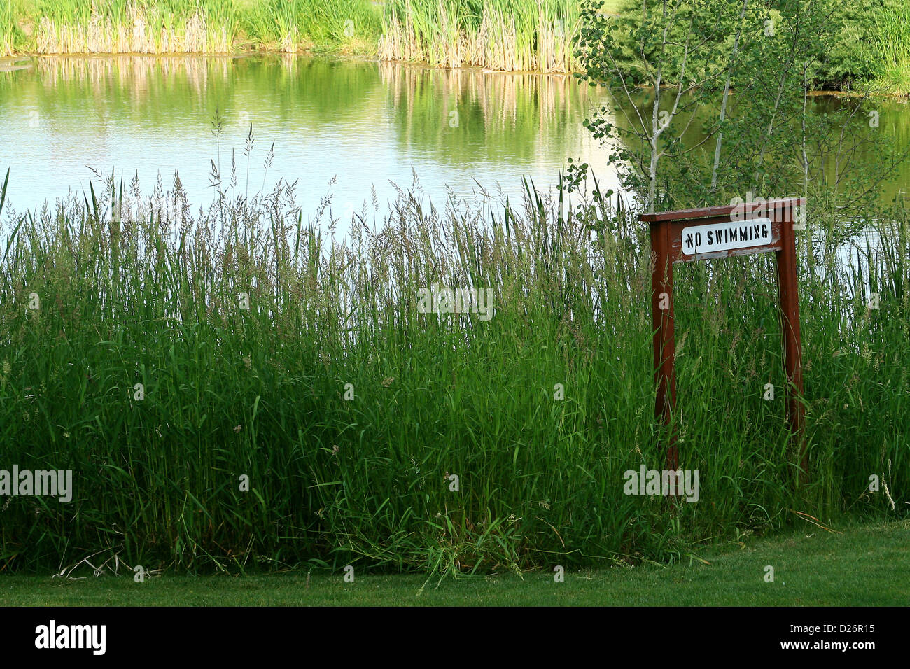 No swimming sign by pond Stock Photo - Alamy
