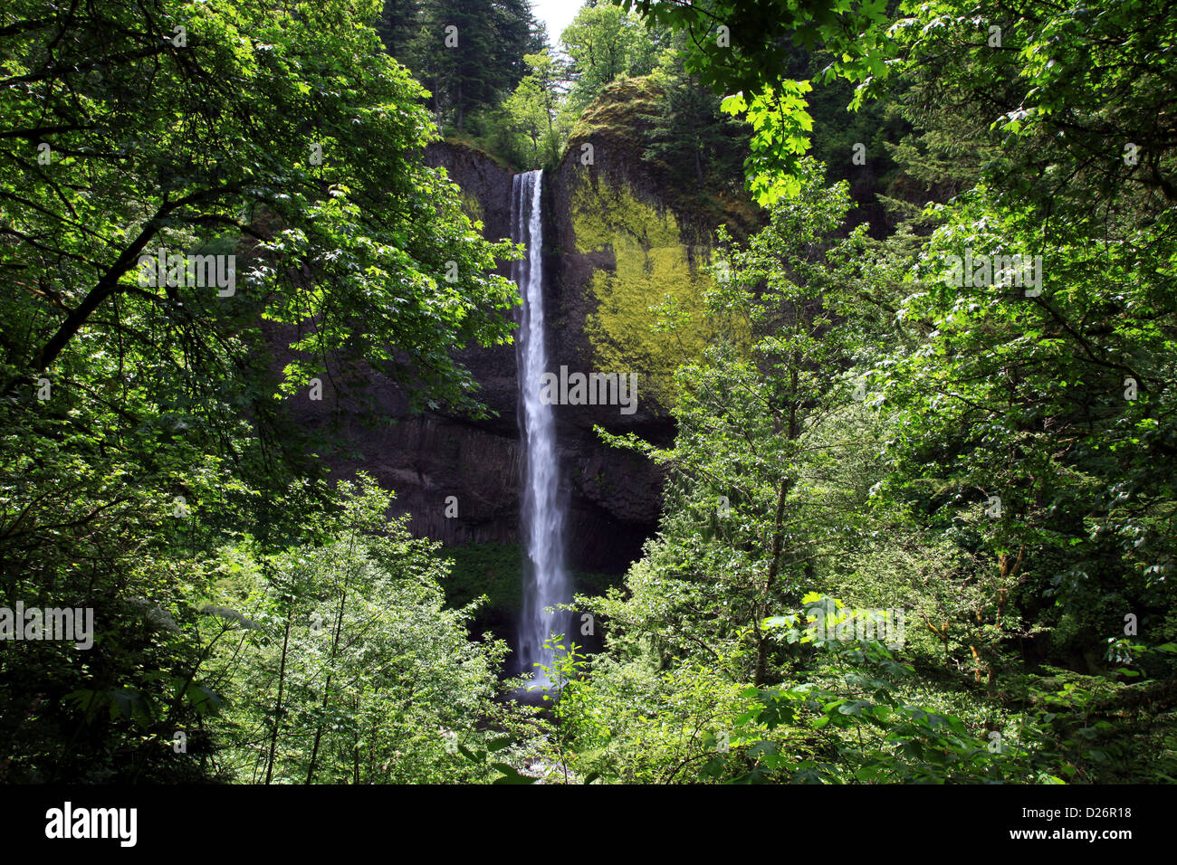 Latourell Fall Columbia River Gorge Stock Photo - Alamy