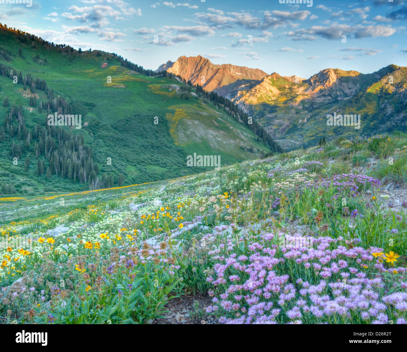 Wasatch Mountains Utah Stock Photo - Alamy