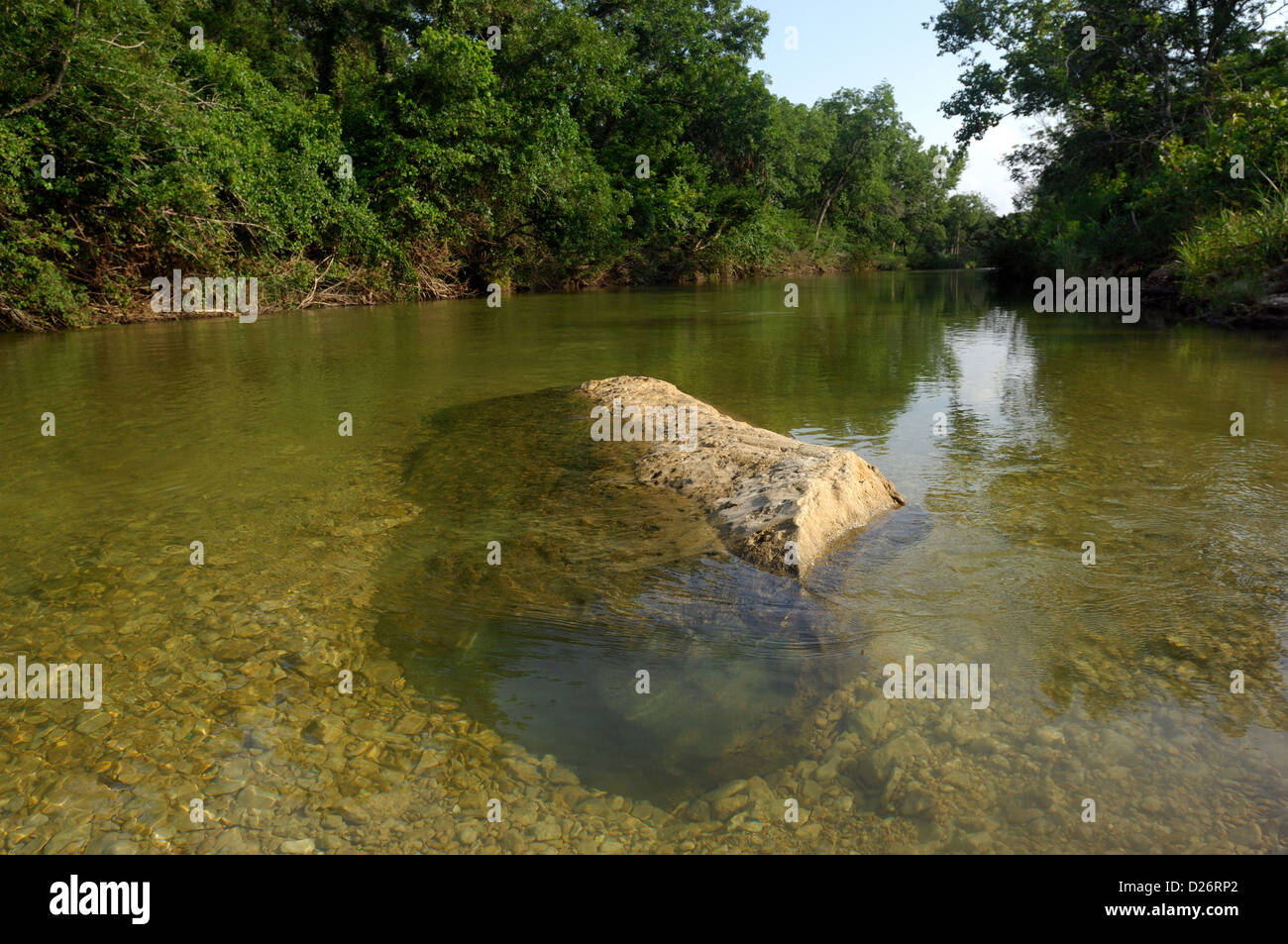 Texas onion hi-res stock photography and images - Alamy