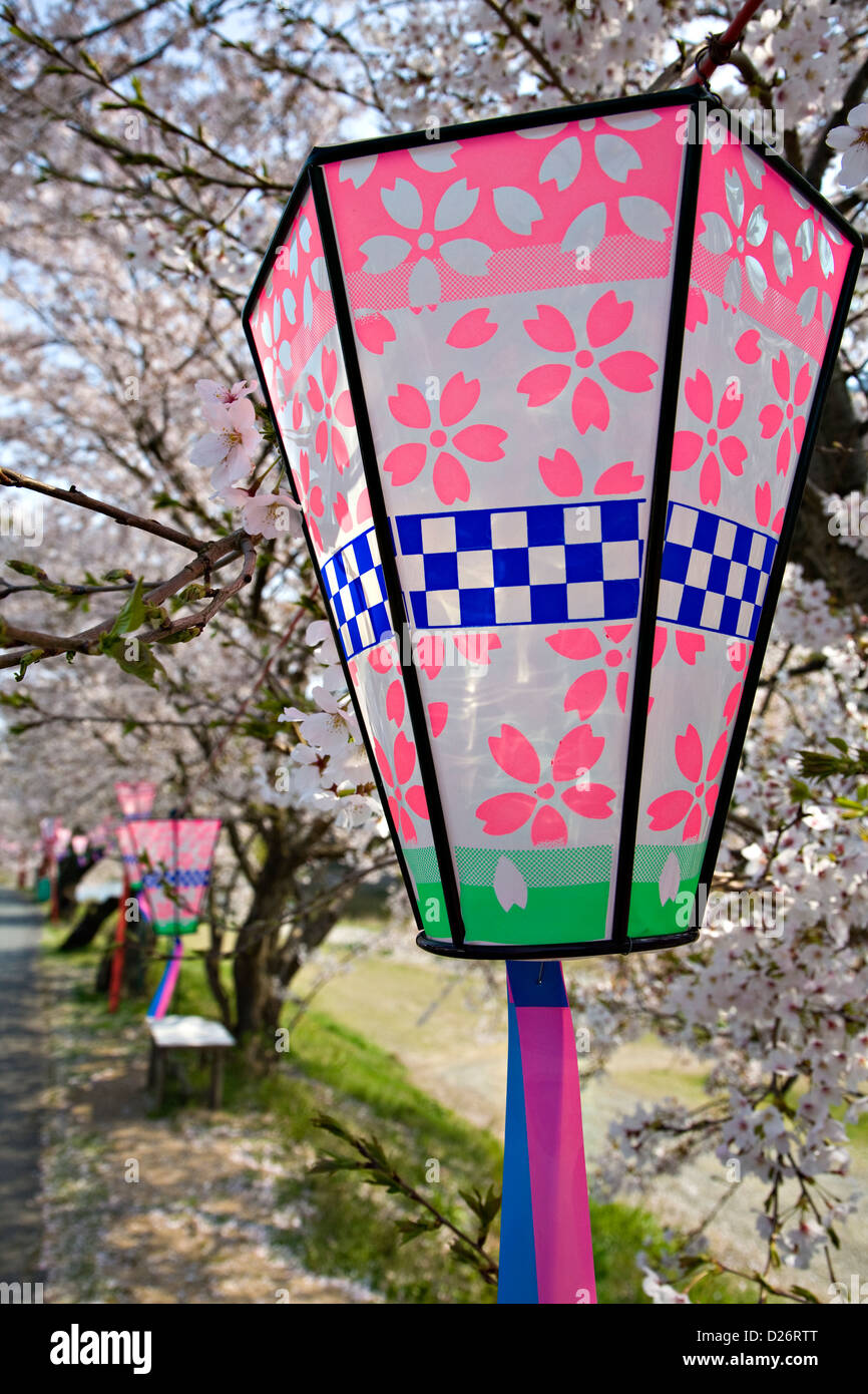 Hanami festival hi-res stock photography and images - Alamy