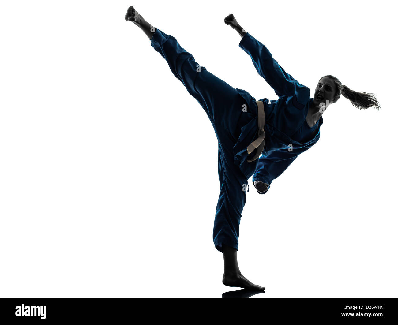 Karate shadow hi-res stock photography and images - Alamy