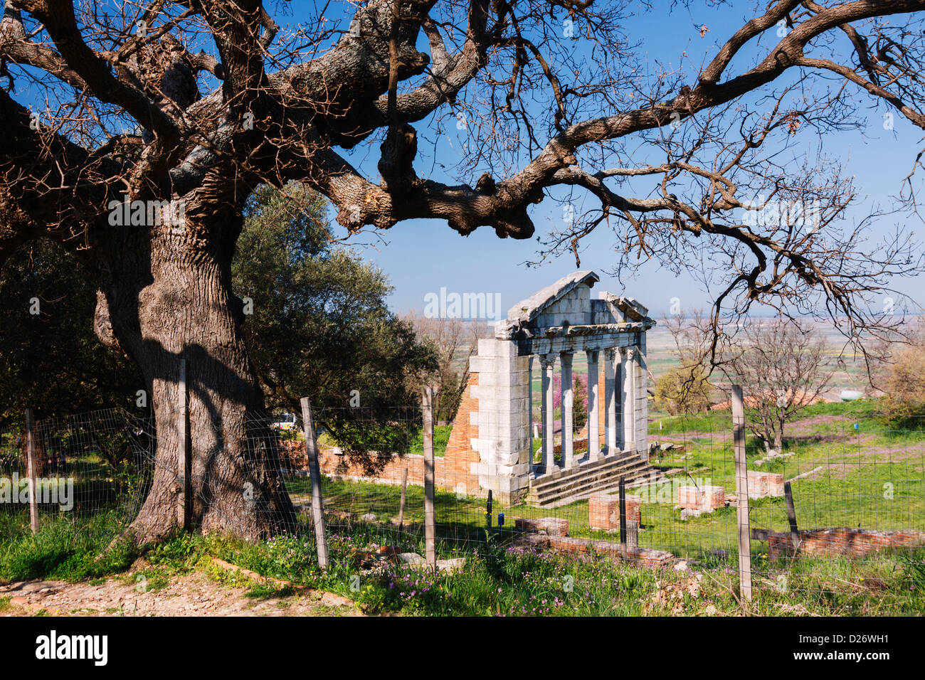 Monument of Agonothetes in Apollonia, Albania Stock Photo - Alamy