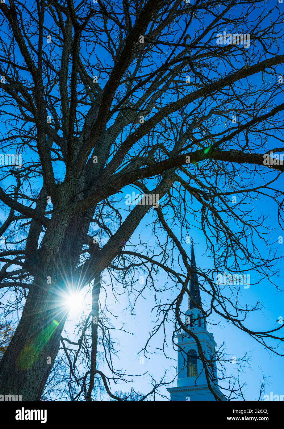 Church tree branches hi-res stock photography and images - Alamy