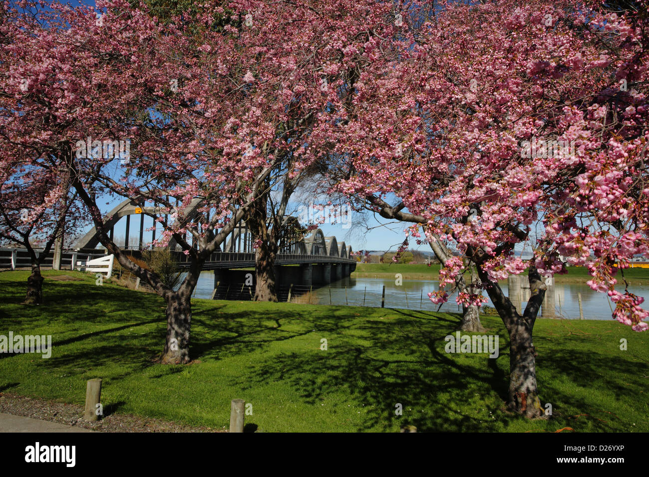 Balclutha Bridge in spring Stock Photo - Alamy